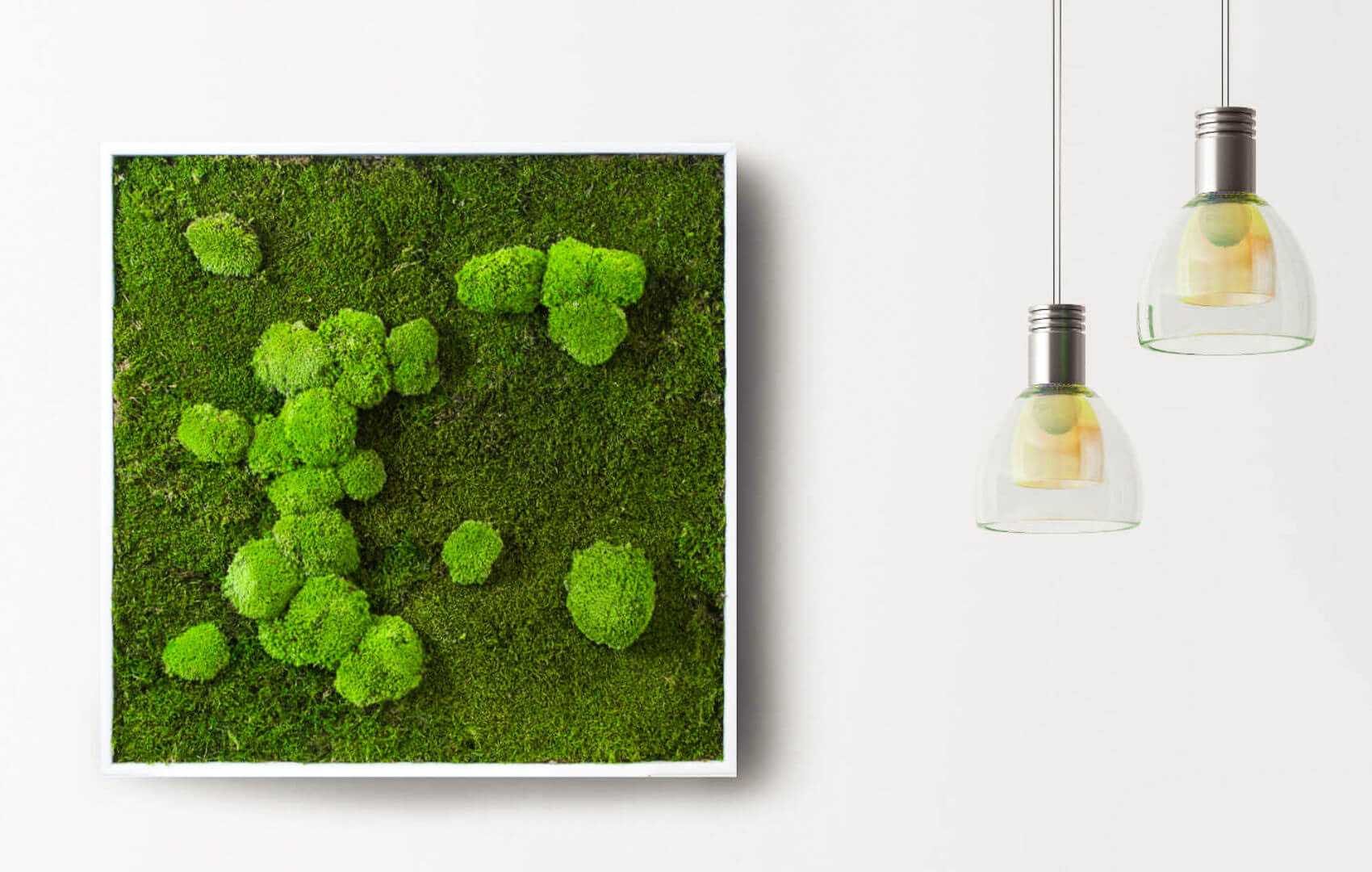 I nostri prodotti - Moss trend