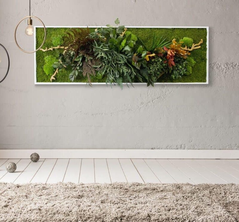 Mosstrend - Scopri tutti i prodotti in verde stabilizzato