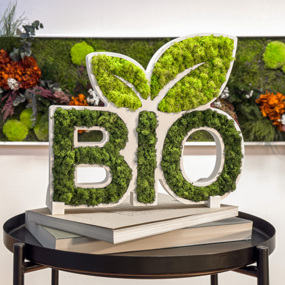 Mosstrend - Scopri tutti i prodotti in verde stabilizzato